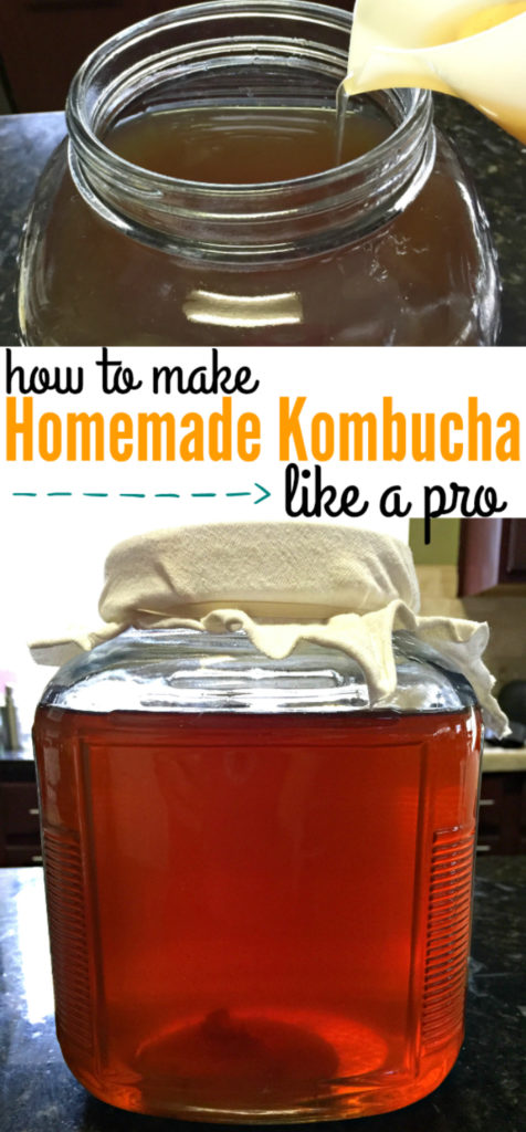 How to Make Homemade Kombucha Recipe 1 Gallon | Mainly Homemade